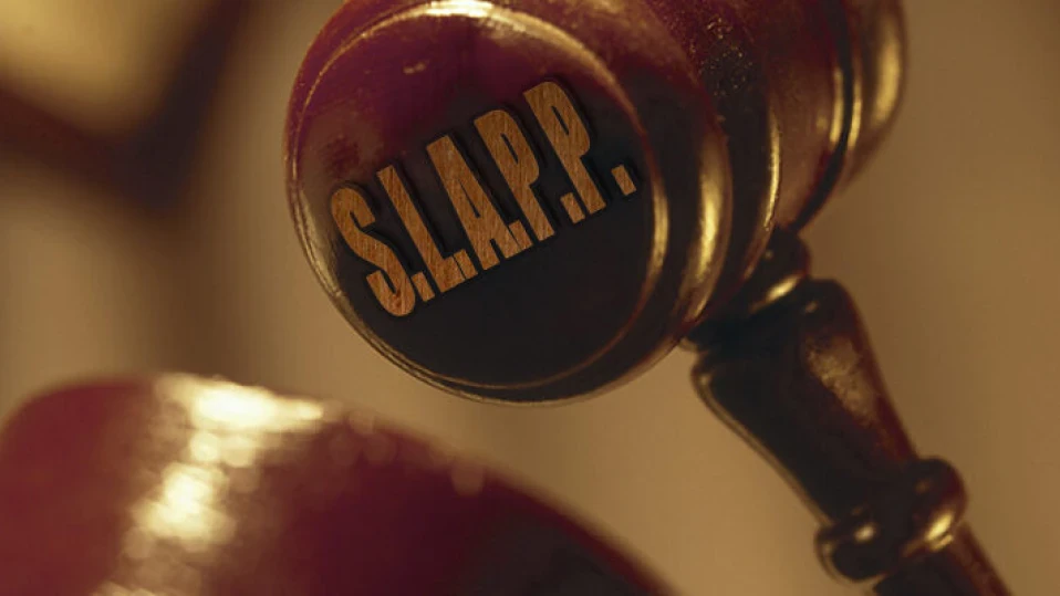 ЕП прие закон за защита от делата-шамари - SLAPP