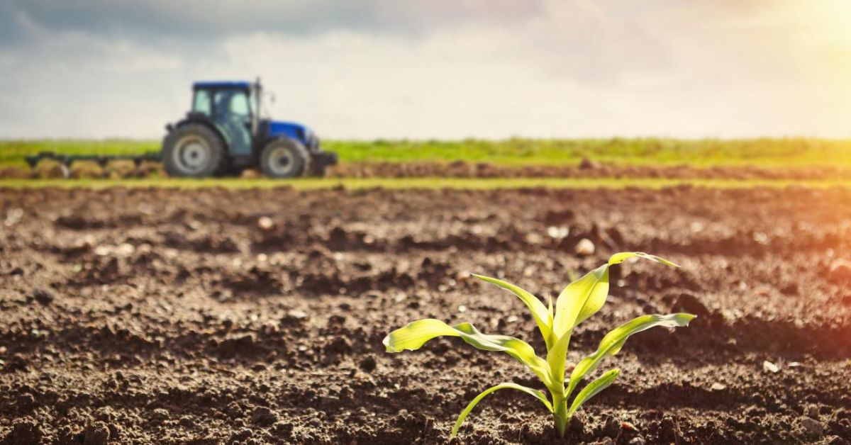 Данъчен консулт на Труд News Ползване на болничен от регистрирани земеделски стопани