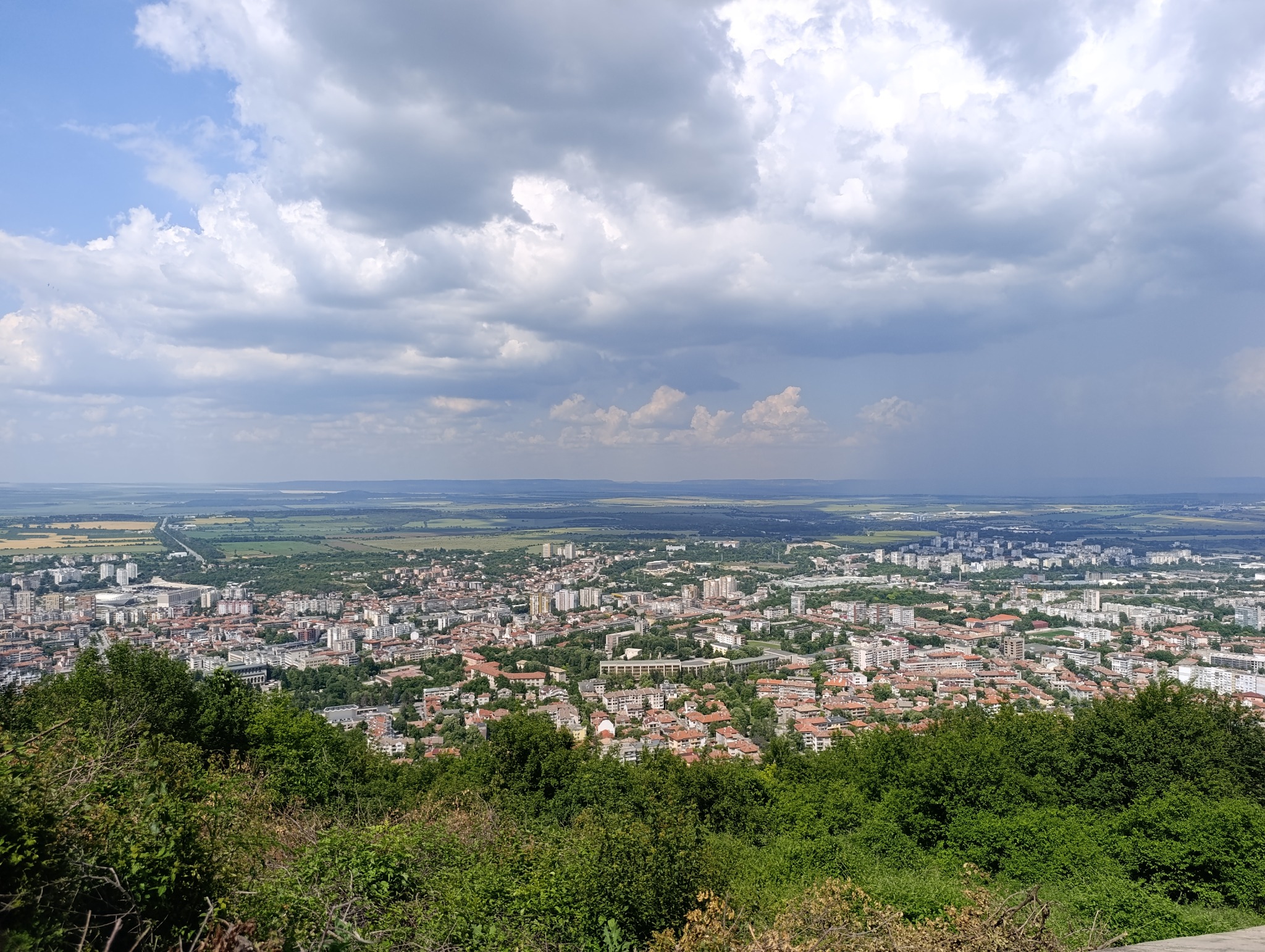 Община Шумен с мерки за заведенията потърпевши от леопарда